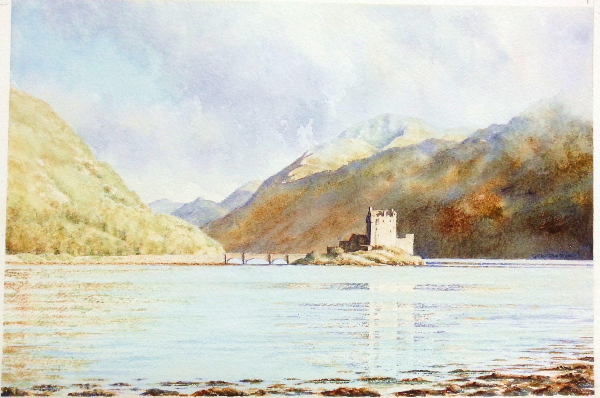 Graves International Art - Gillie Cawthorne