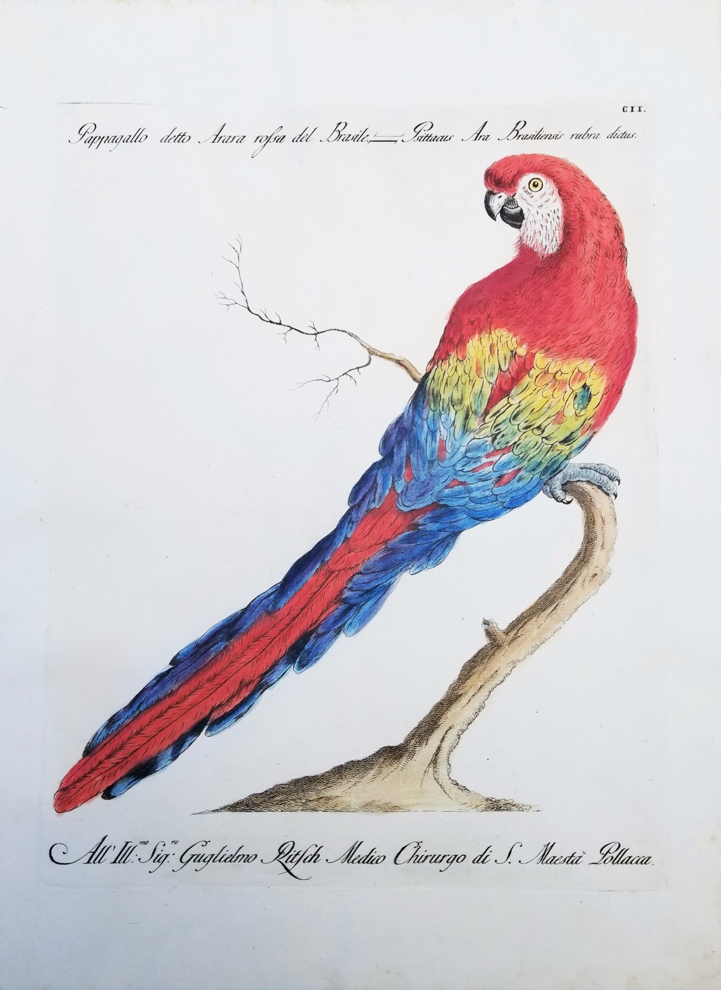 Graves International Art - Saverio Manetti