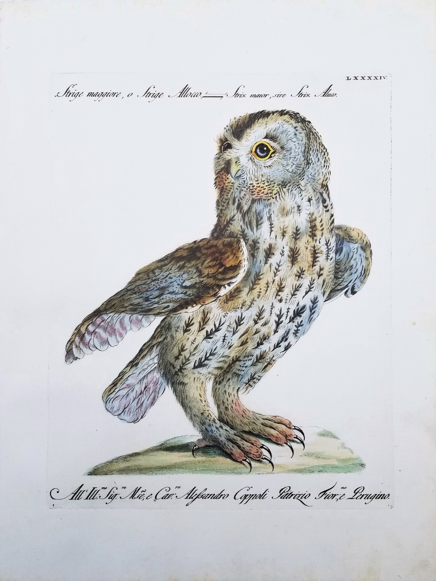 Graves International Art - Saverio Manetti